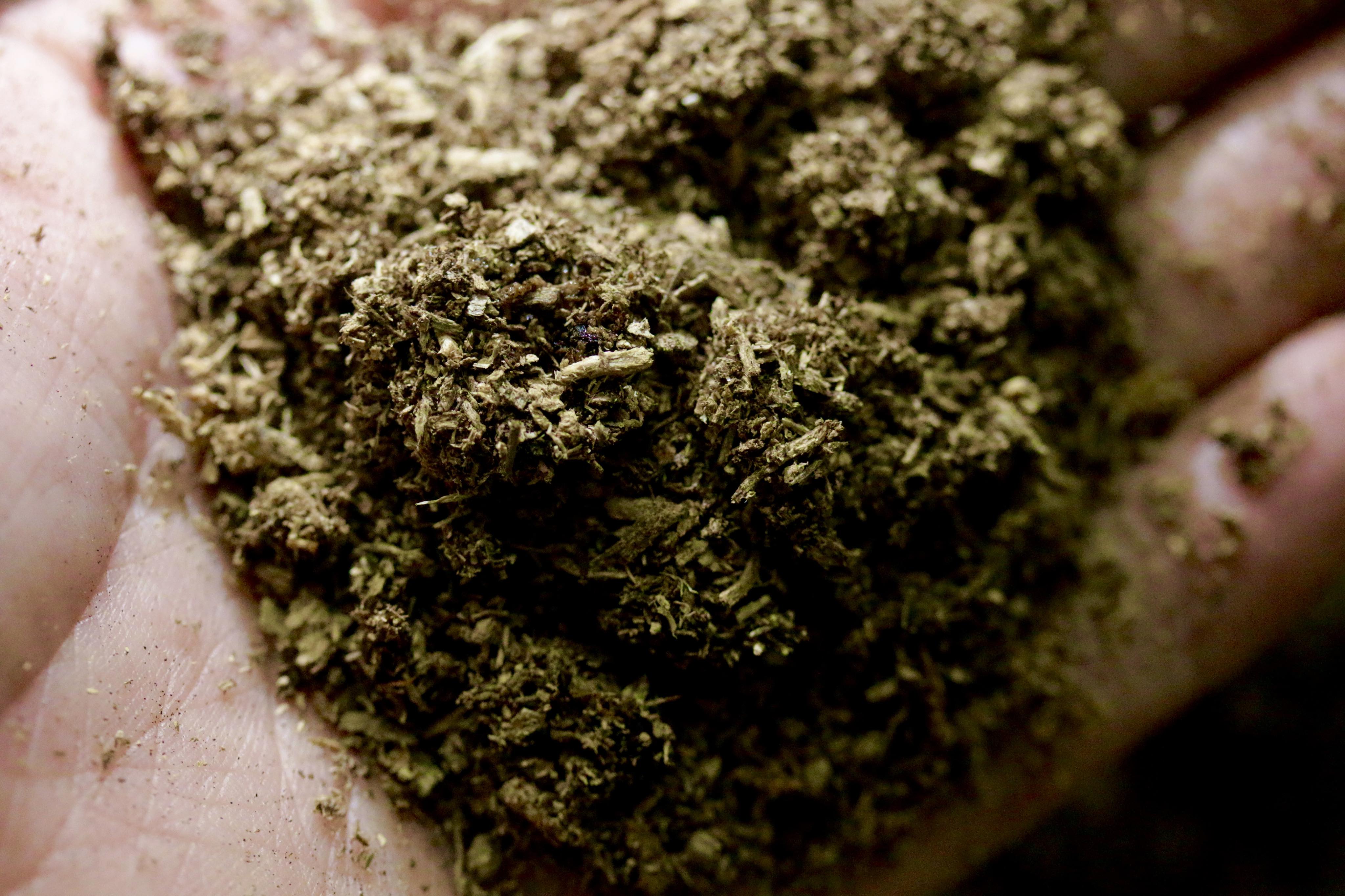 Buy Flake Soil Online for Your Beetles | James' Beetle Farm