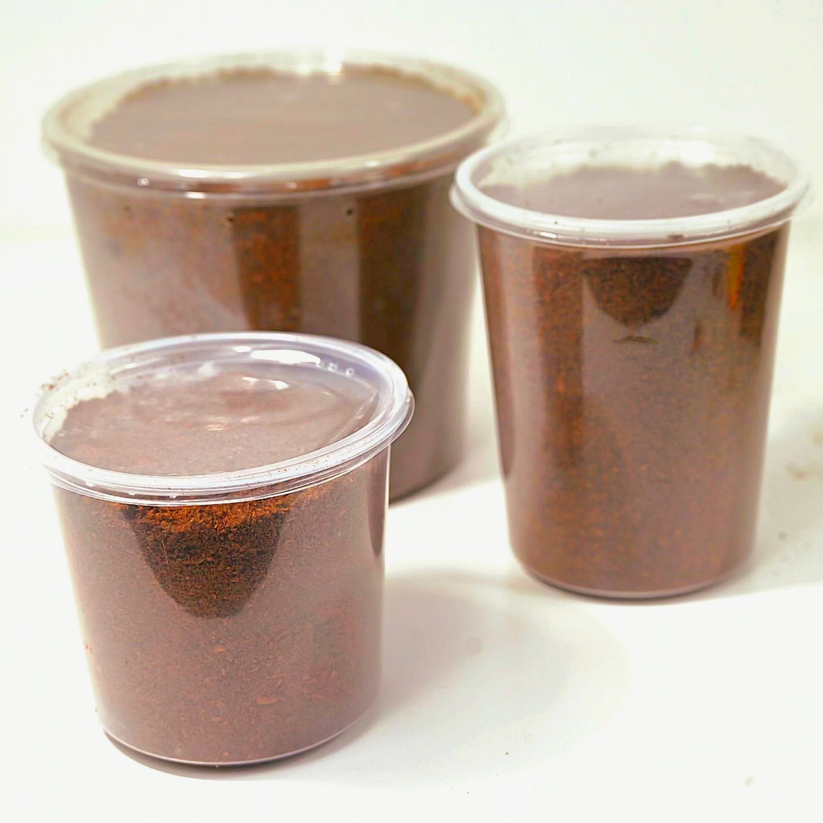 Larvae Kit – James' Beetle Farm